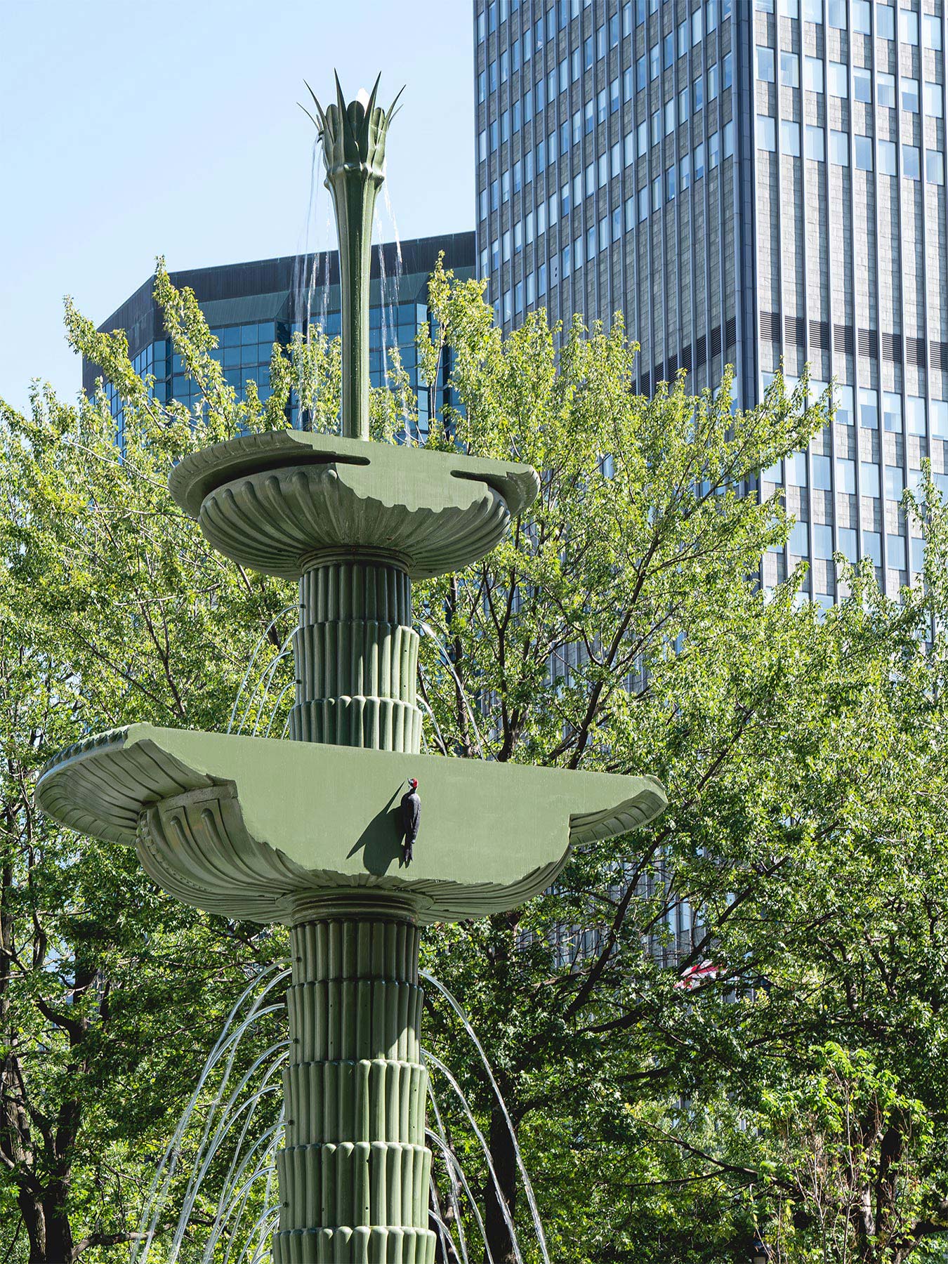 Square Dorchester Nord – CCxA