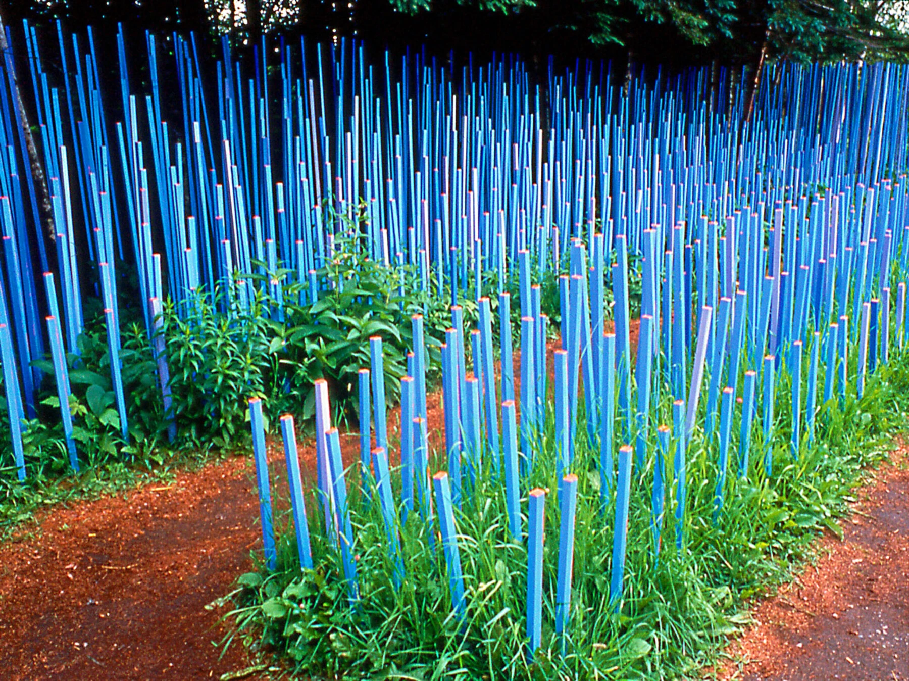 Blue Stick Garden – CCxA