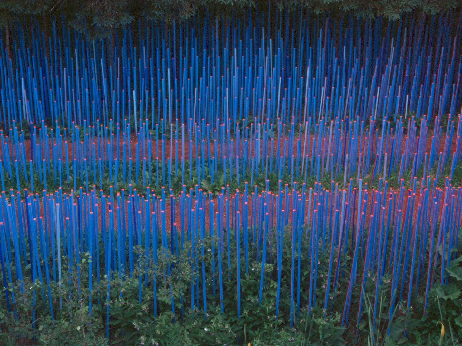Blue Stick Garden – CCxA