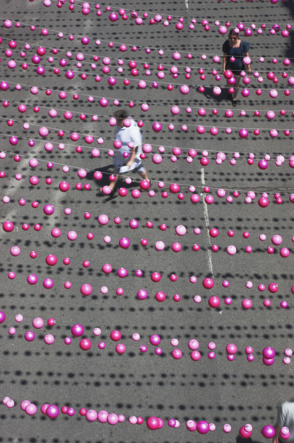 Pink Balls – CCxA