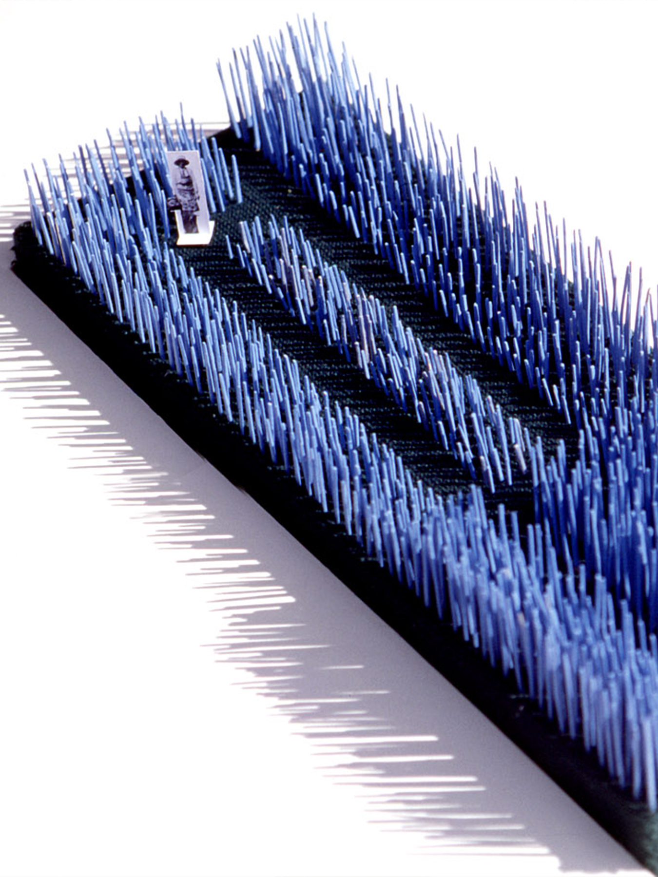 Blue Stick Garden – CCxA