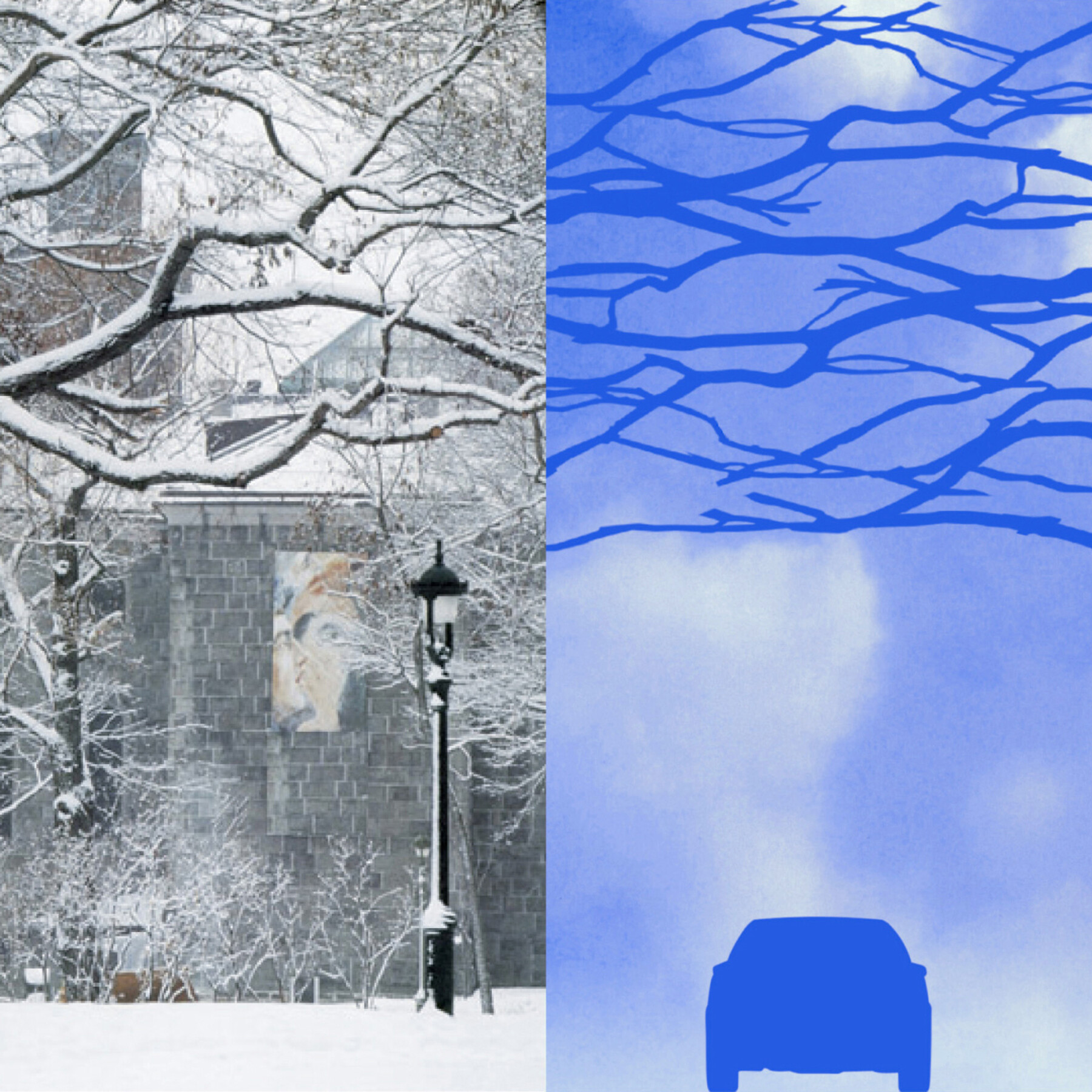 Forêt bleue – CCxA