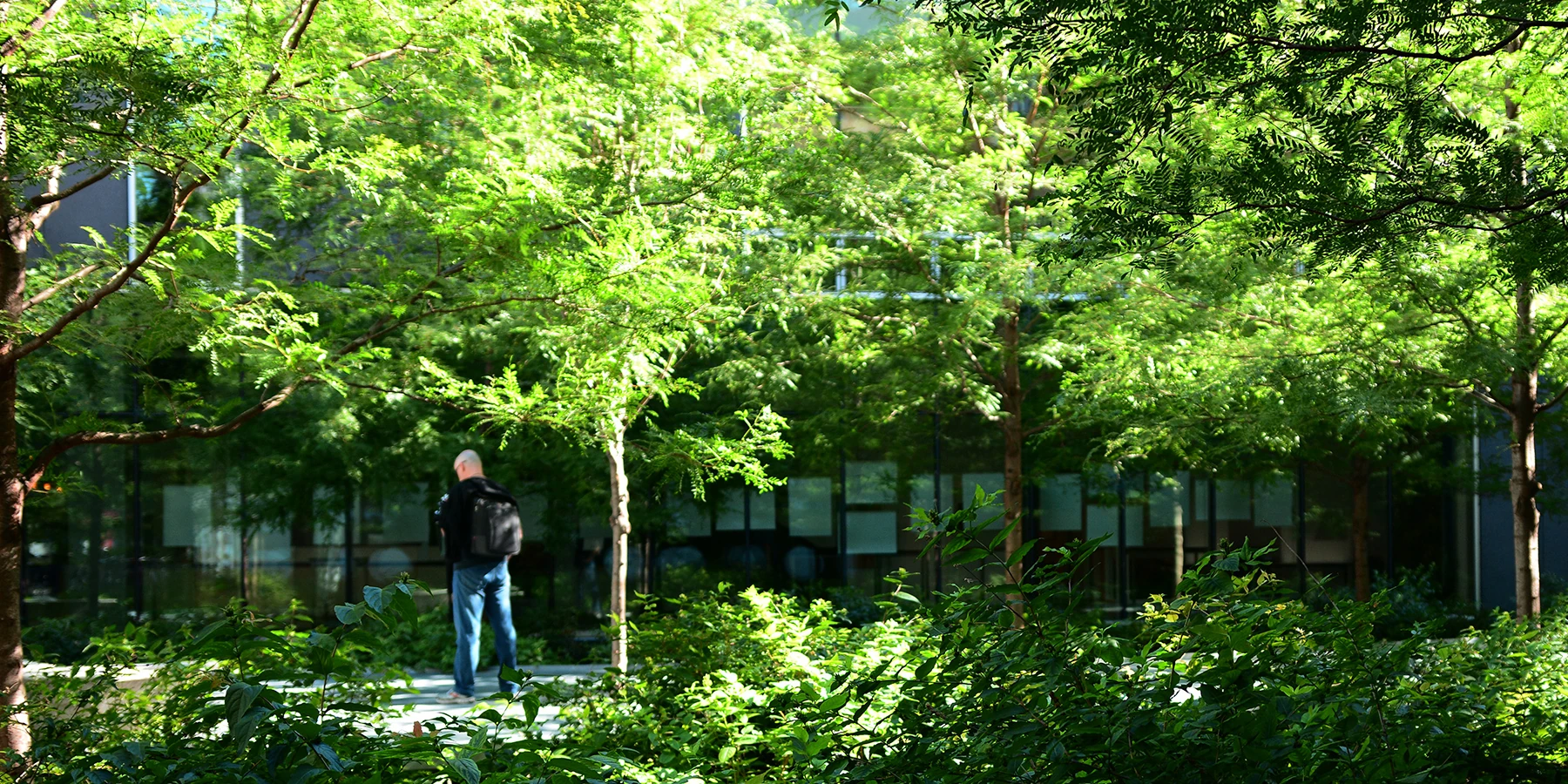 Parc Hydro-Québec – CCxA