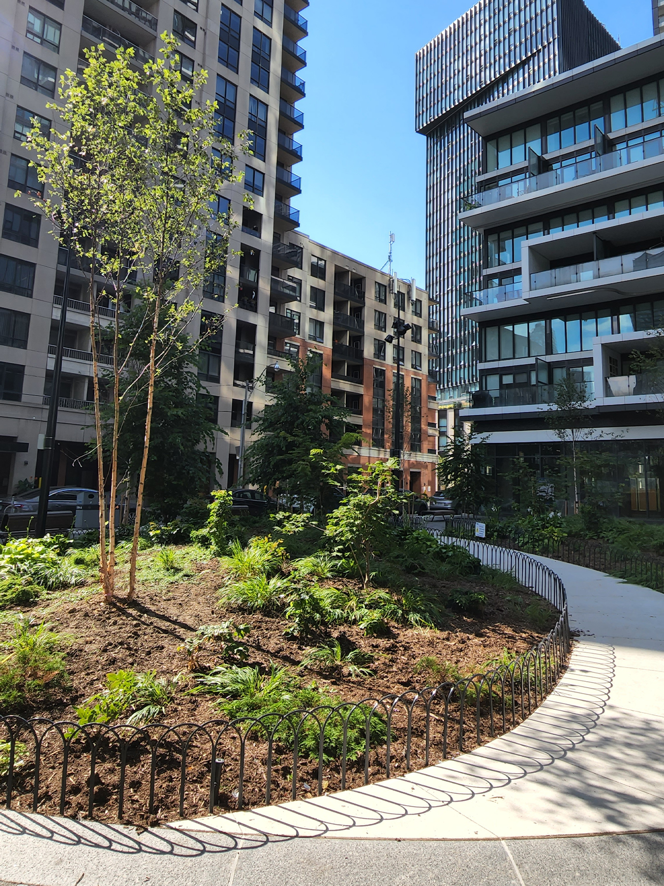 88 Queen Street – CCxA