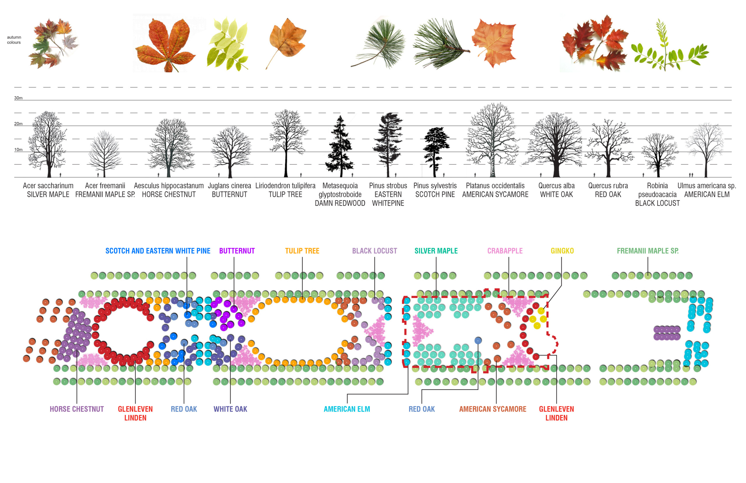 Vaughan Metropolitan Centre / Central Park – CCxA