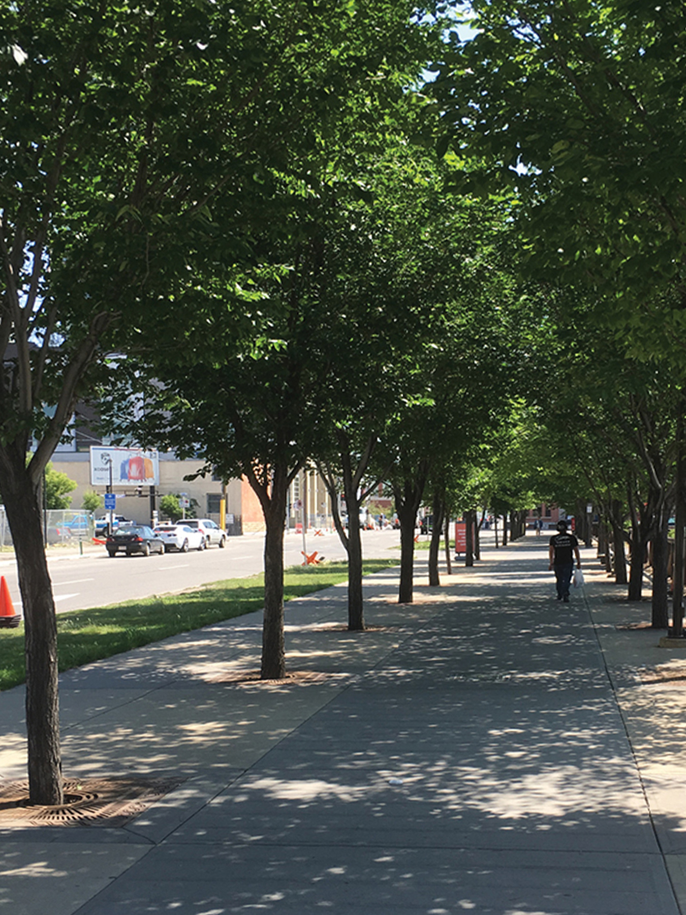 Calgary Curtis Block – CCxA