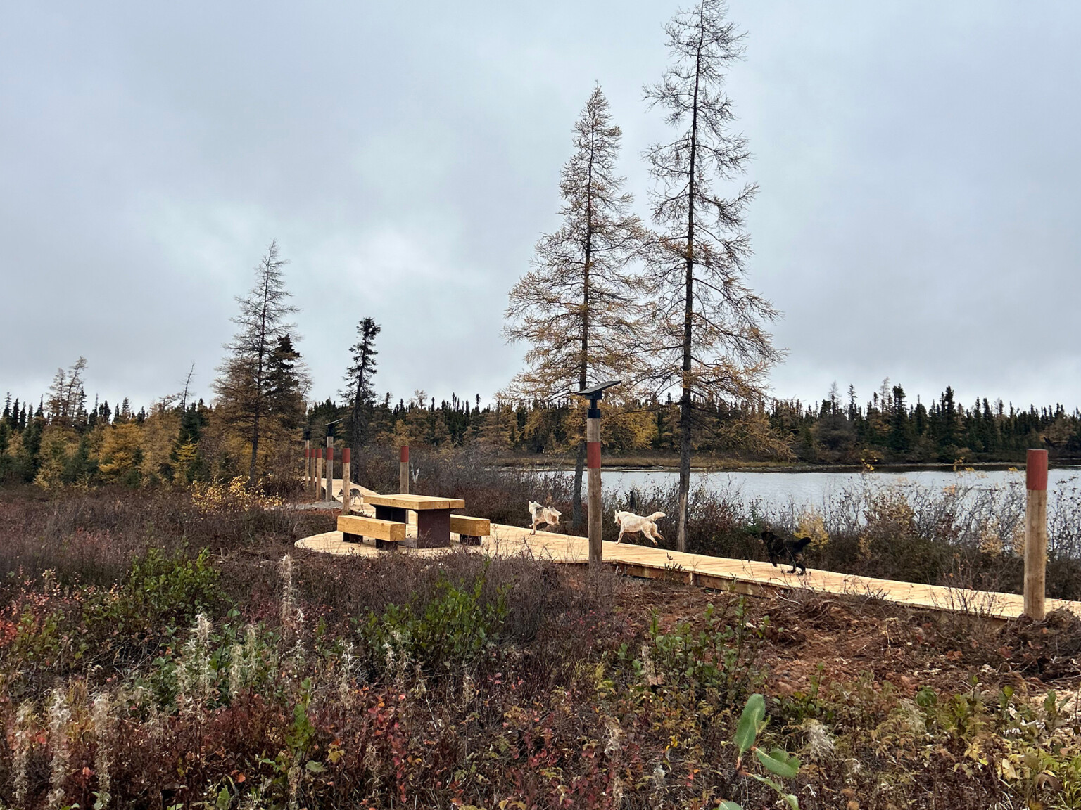 Naskapi Community Boardwalk – CCxA